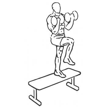 Step Up Single Leg Balance with Bicep Curl - Gymwolf