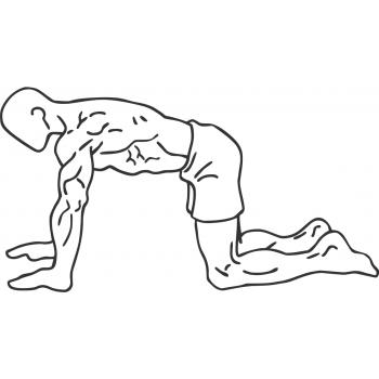Abdominal 4 Point Drawing In - Gymwolf