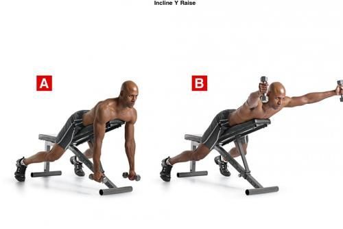 Incline Y Raise - Gymwolf